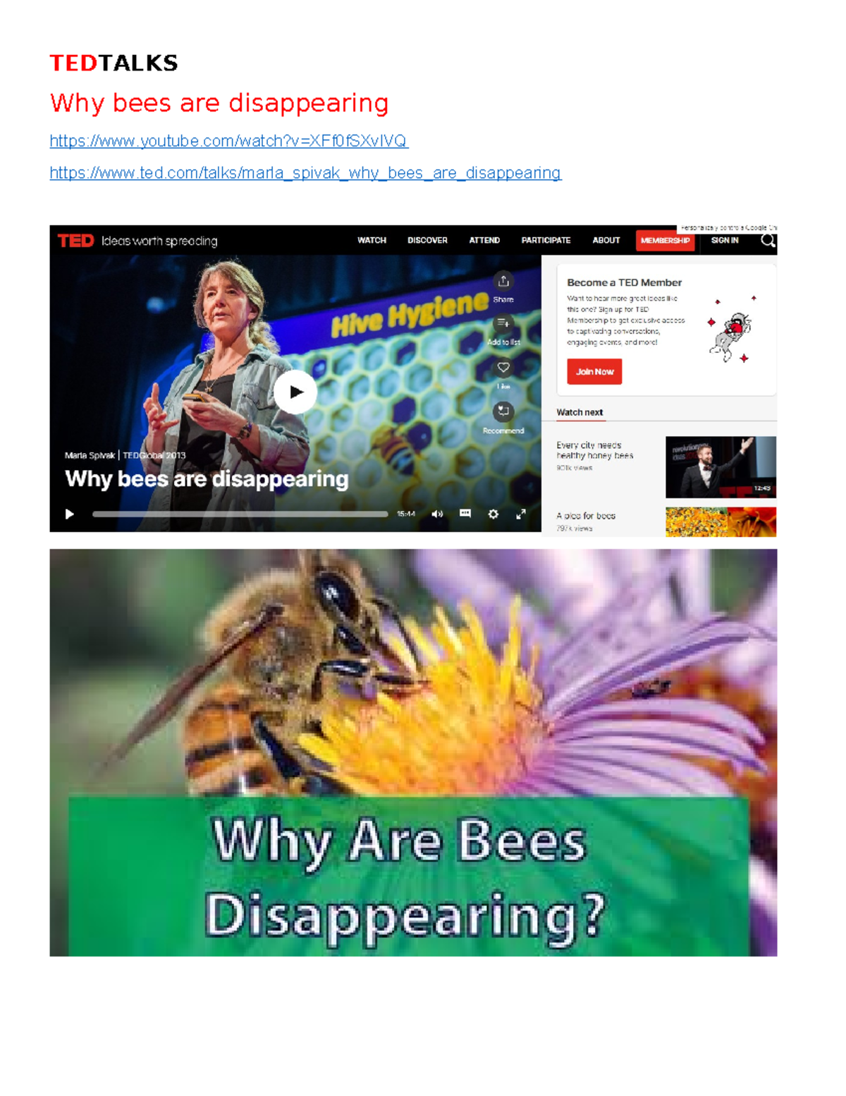 Tedtalks Why bees are disappearing - TEDTALKS Why bees are disappearing ...
