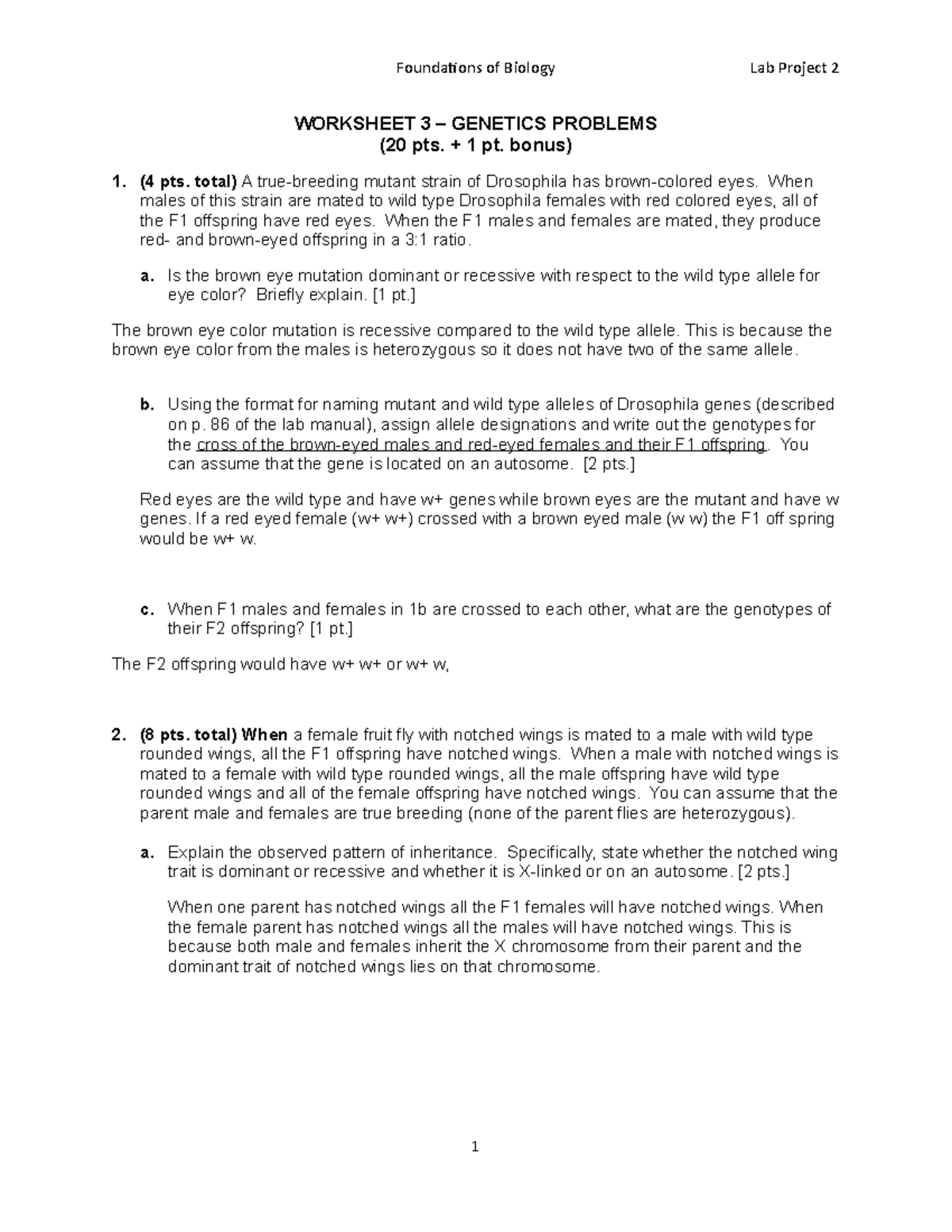 WS3. Genetics Problems: Drosophila Inheritance Patterns and Crosses ...