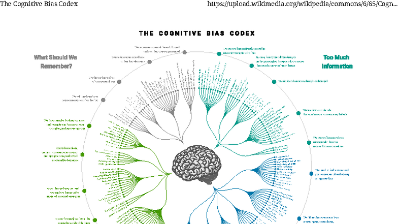 Cognitive Bias Codex Overview: Understanding Memory and Perception ...