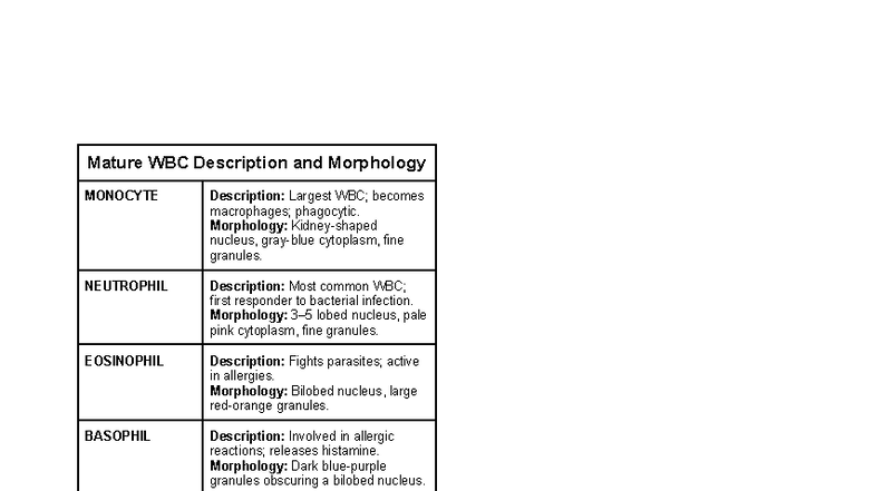 Mature WBC Description and Morphology - Mature WBC Description and ...