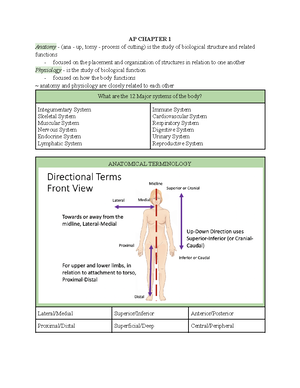 Lab Report Smooth Muscle Learn how your gut contracts - NAME: Bryan Salango DATE: 12/7/ Lab ...