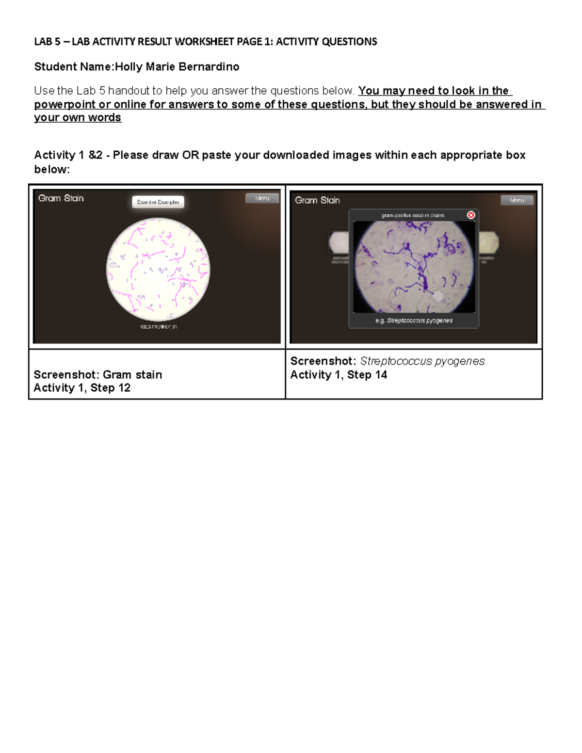 BIO2060L - Lab 5 Virtual Gram Staining Results & Activity Worksheet ...
