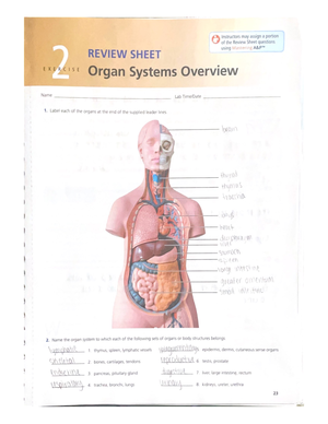 AP - Lab Ex. 02 Review sheet chapter 2 Organ systems overview - BIO 111 - Studocu