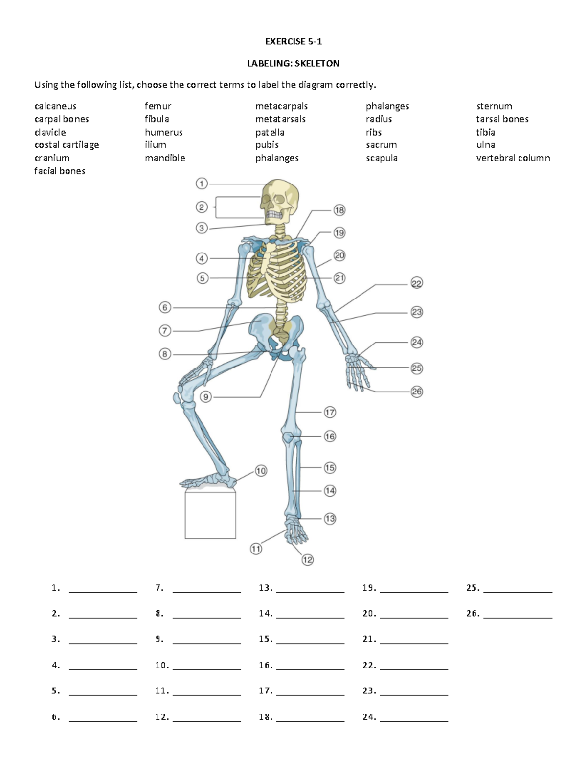 Chapter 5: Skeleton Labeling and Case Study Exercises - Studocu