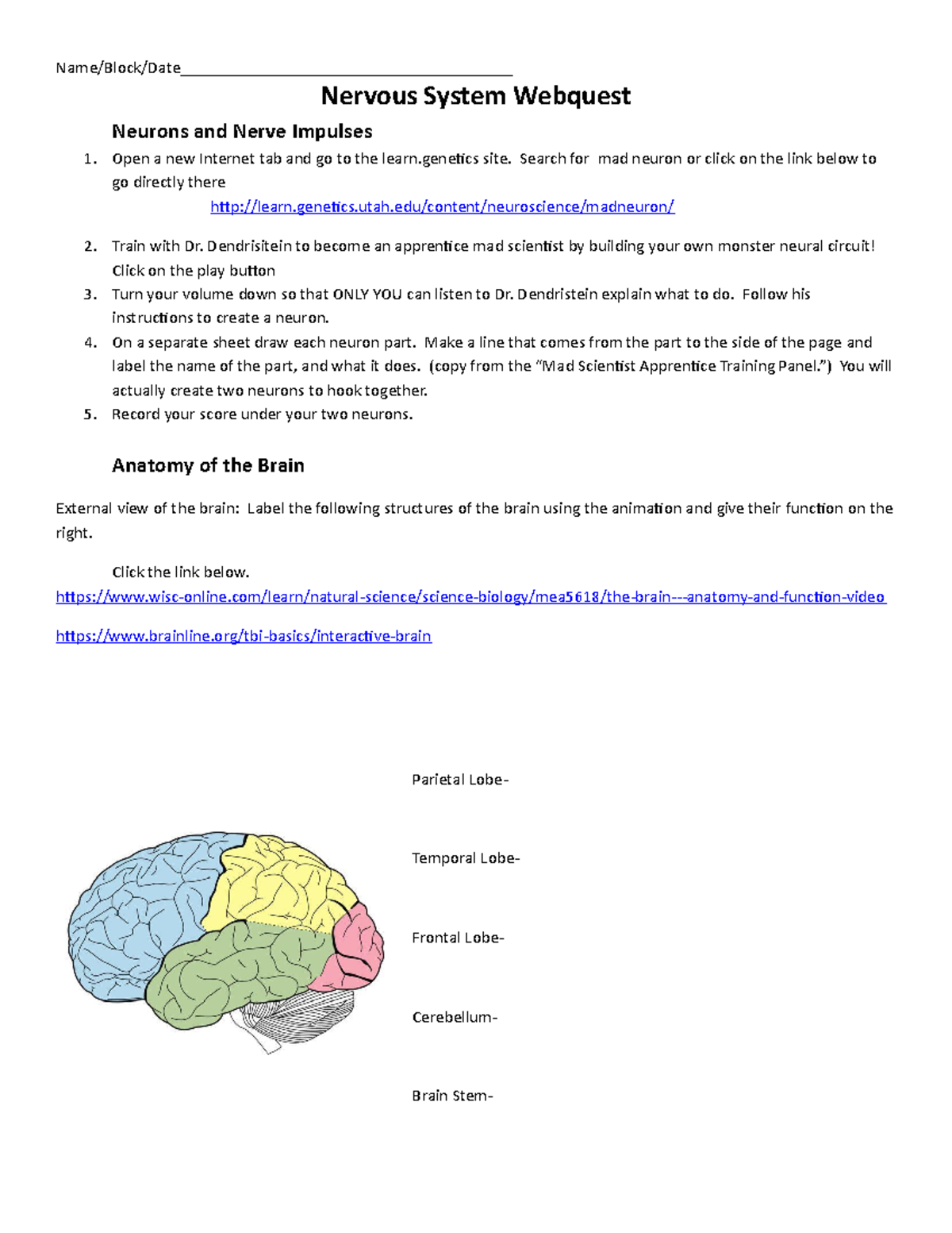 Nervous System Webquest (Biology 101): Exploring Neurons & Brain ...