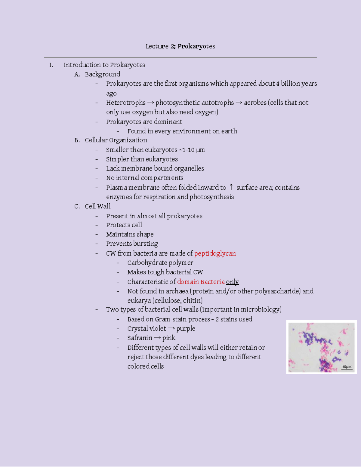Bio 116 Lecture 2: Introduction to Prokaryotes and Their ...