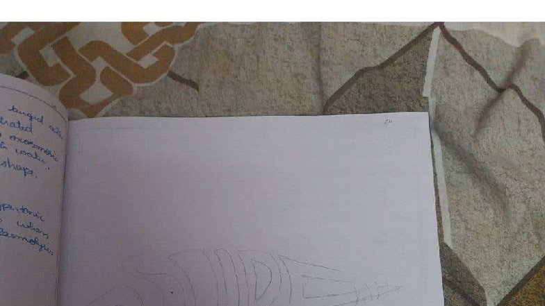 SLB CLASSIFICATION OF BACTERIA AND PLANT KINGDOMS 23.8.23 - Studocu