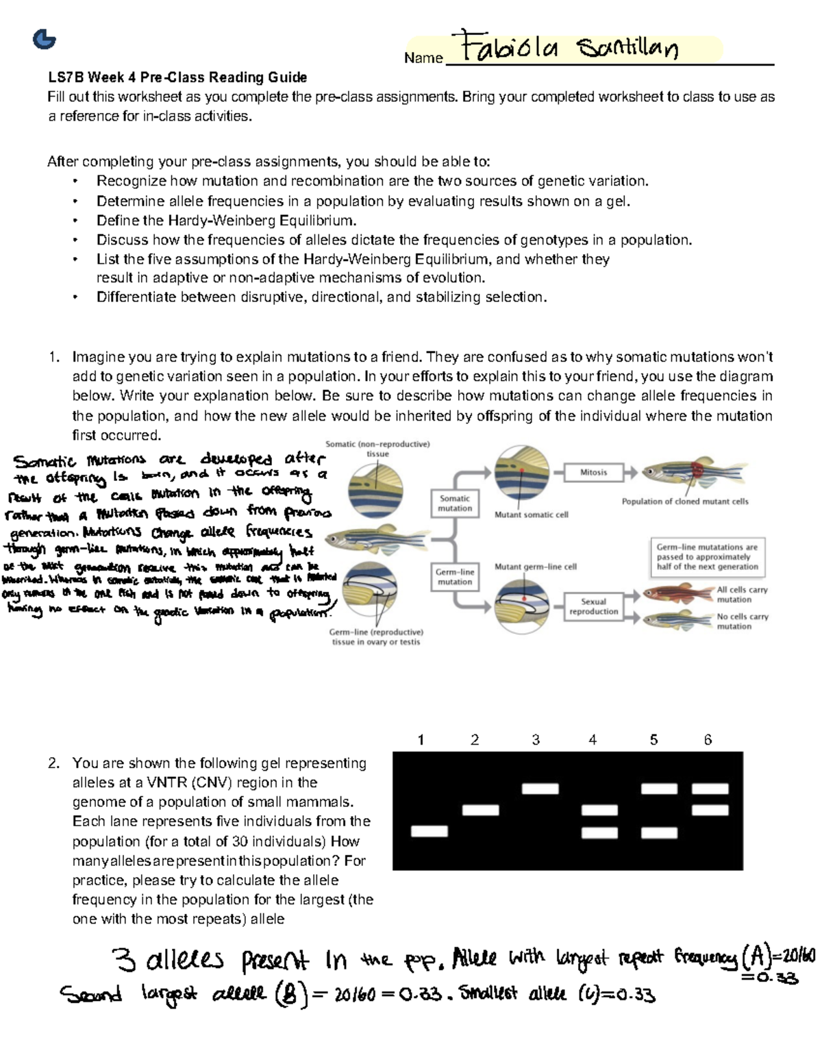 LS7B Week 4 Pre-Class Assignment: Exploring Genetic Variation - Studocu