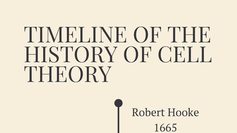HISTORICAL TIMELINE OF CELL THEORY: KEY DISCOVERIES - Studocu