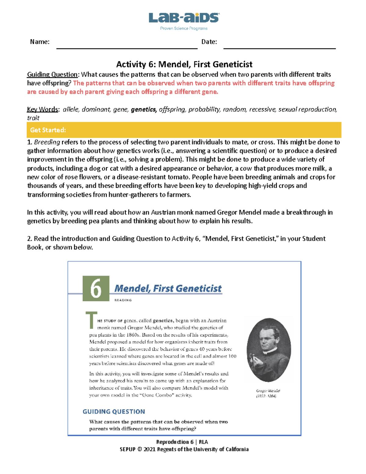 Mendel Activity 6: Understanding Genetics - R6 Learning Packet - Studocu