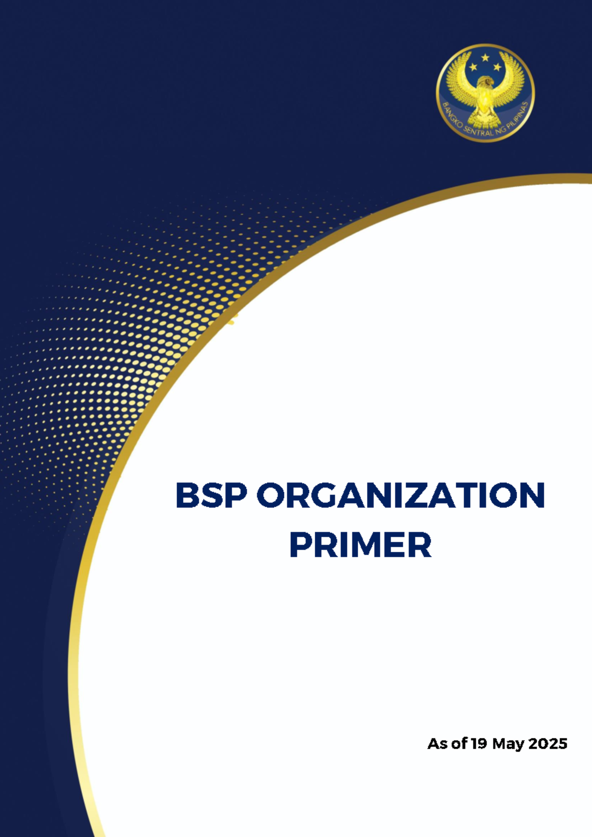 BSP 2025 Organization Primer: Structure, Vision, and Strategy Overview ...