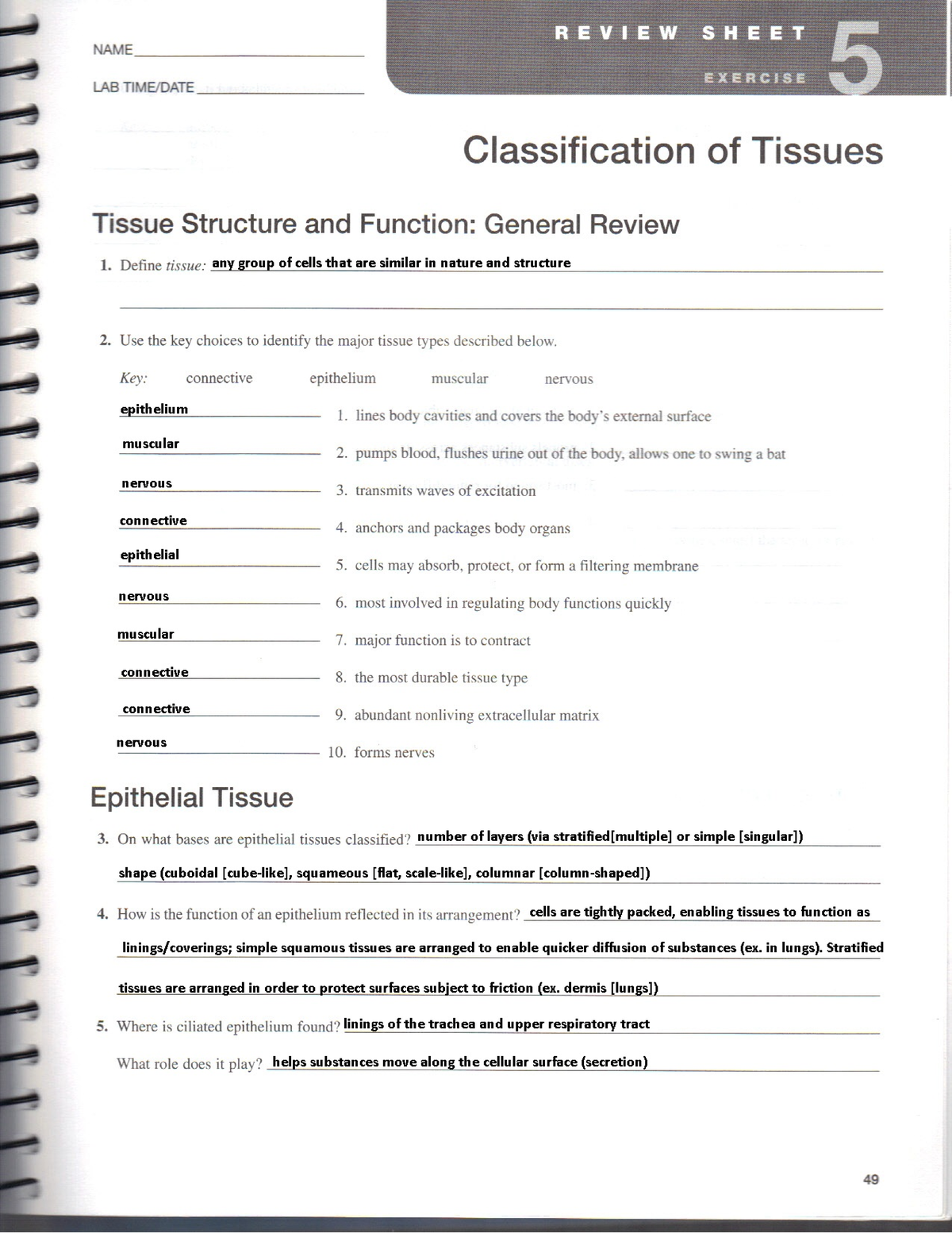 Classification of Tissues Review Sheet Exercise 5 Answers - REVIEW SHEET NAME EAERCISE LAB - Studocu
