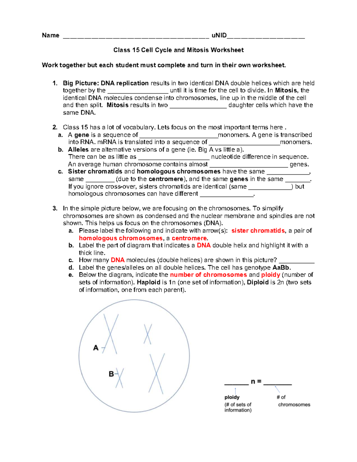 03-WS 15 Cell cycle and mitosis worksheet for Spring 2025 - Studocu