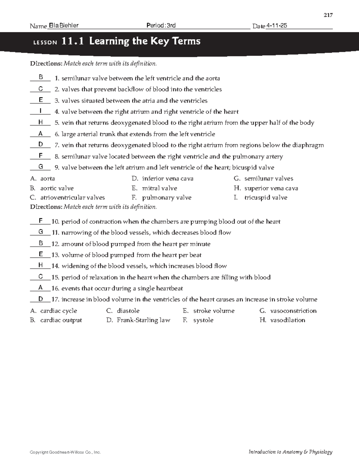 217 Intro to Anatomy Physiology: Lesson 11.1 Key Terms Answer Key - Studocu