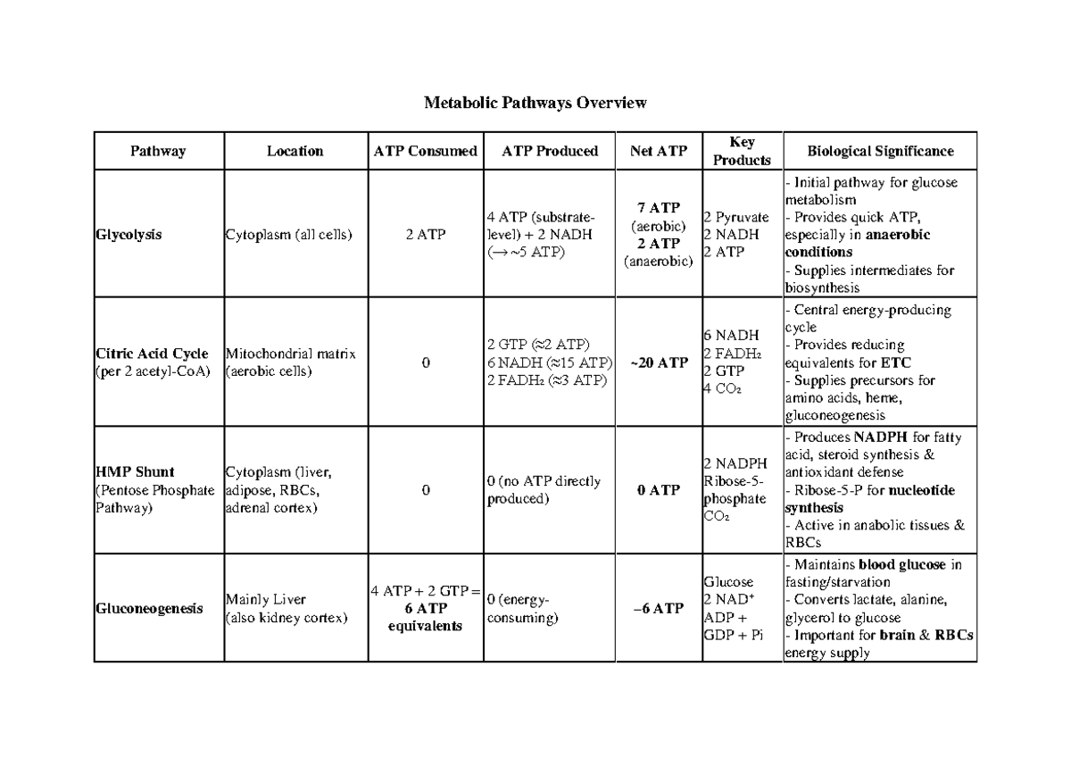 Metabolic Pathways Overview: Glycolysis, Citric Acid Cycle & HMP Shunt ...