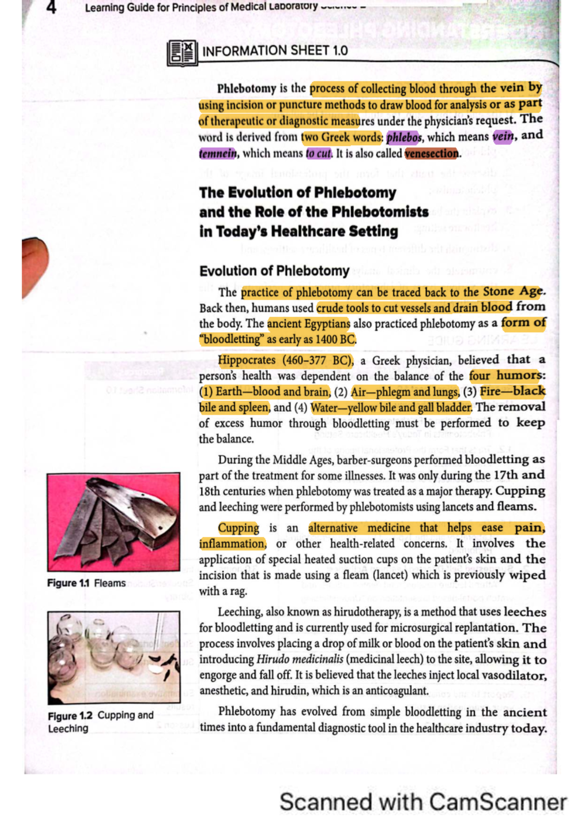PMLS-2 Learning Guide: Understanding Phlebotomy and Its Evolution - Studocu