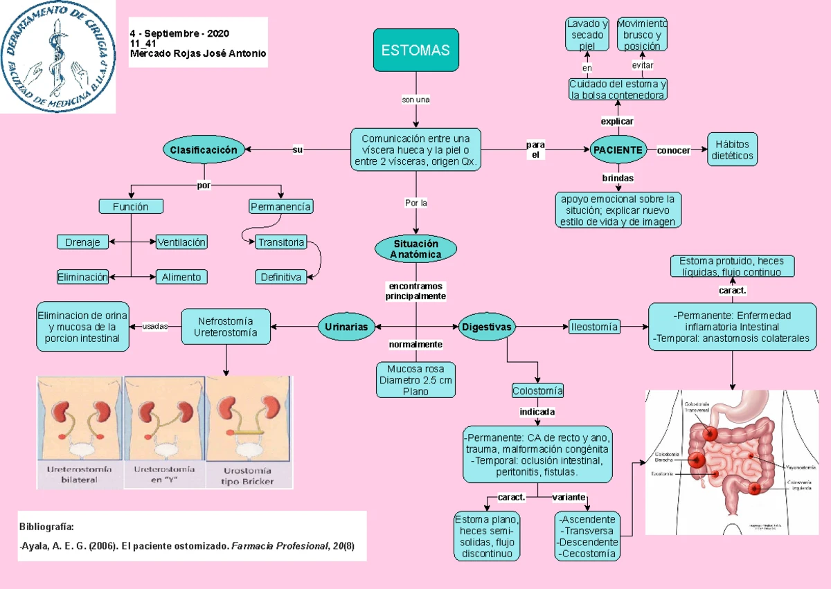 Suturas X y Z: Técnica y Tiempo de Aplicación en Urgencias - Studocu