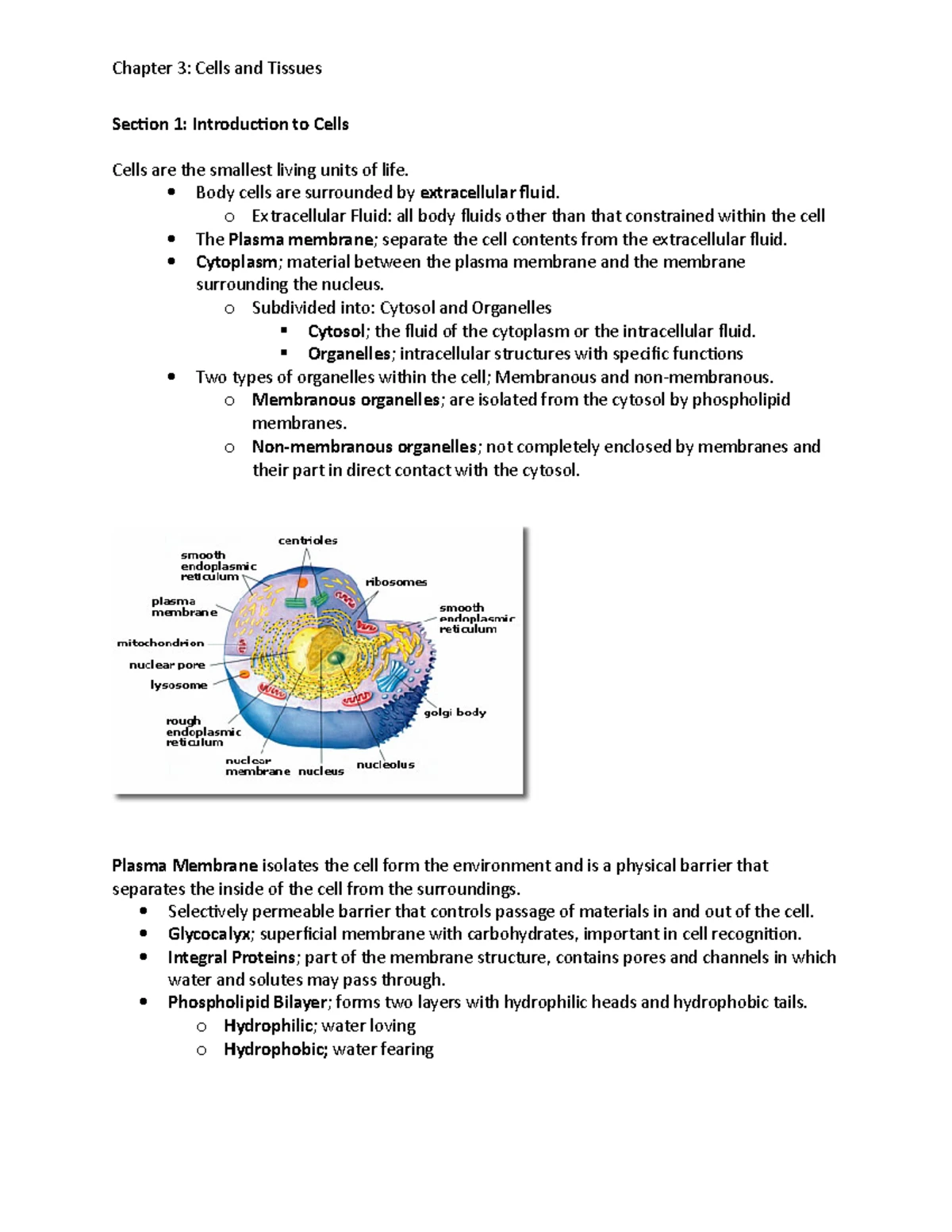 Bone Practical Study Guide (Lab 3-5) - Key Structures & Functions - Studocu