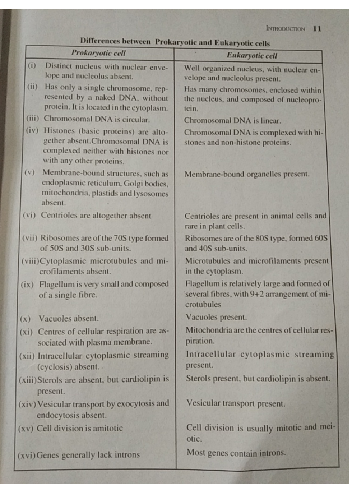 What Are 10 Differences Between Prokaryotic And Eukaryotic Cells