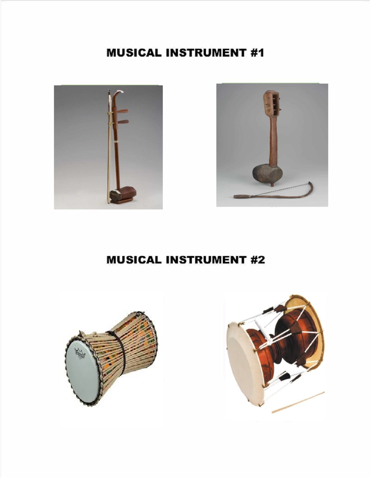 Musical Instrument - Bachelor in Physical Education - MUSICAL ...
