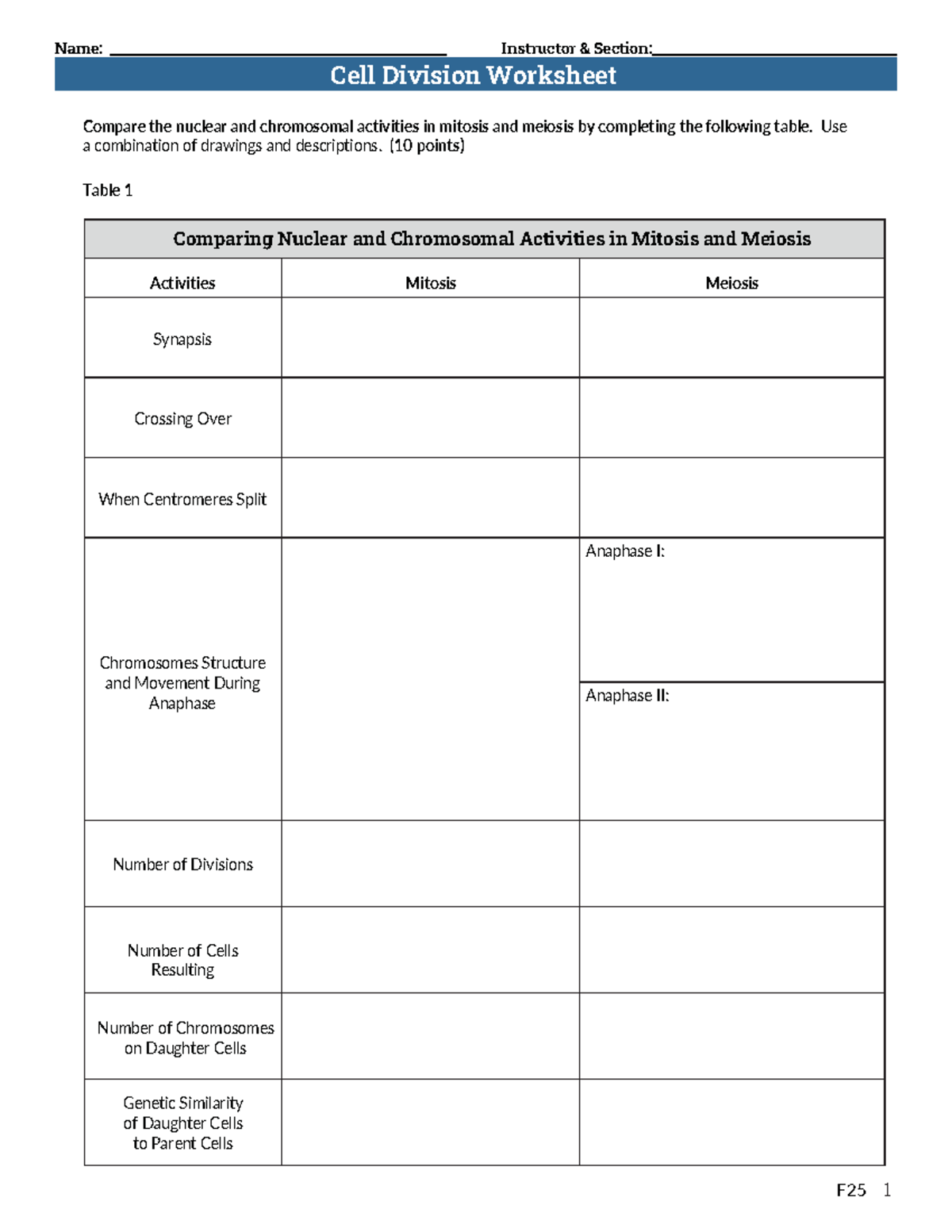 F25 Cell Division Lab Worksheet: Mitosis & Meiosis Activities - Studocu