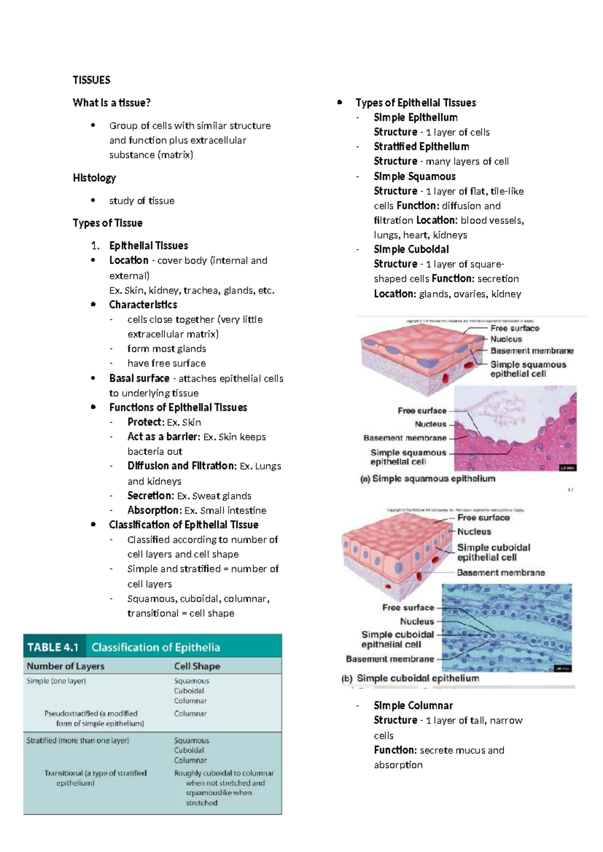 Anaphy (TISSUES) - Anatomy & Physiology Notes on Tissue Types - Studocu