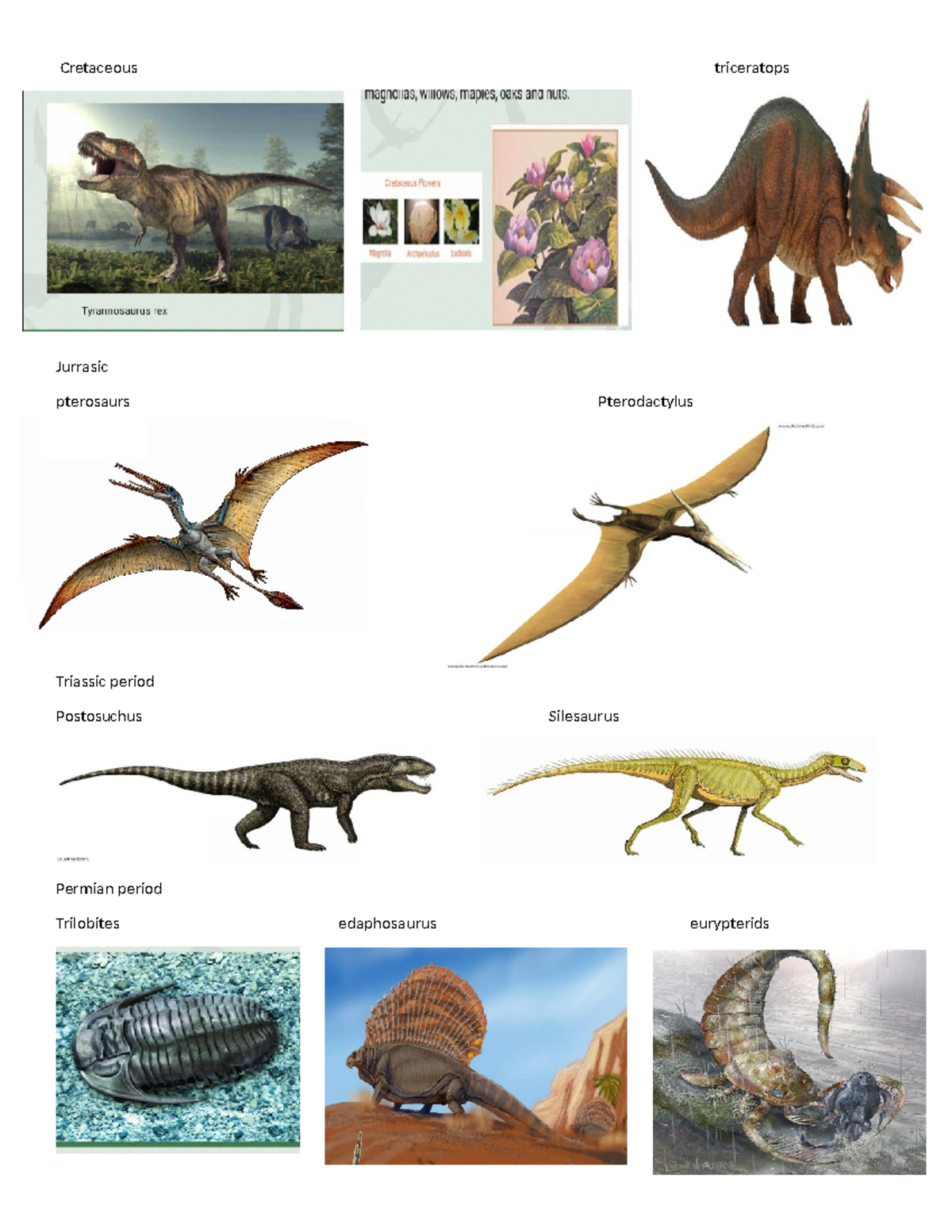 Cretaceoustriceratops - Araling Panlipunan - Cretaceous triceratops ...