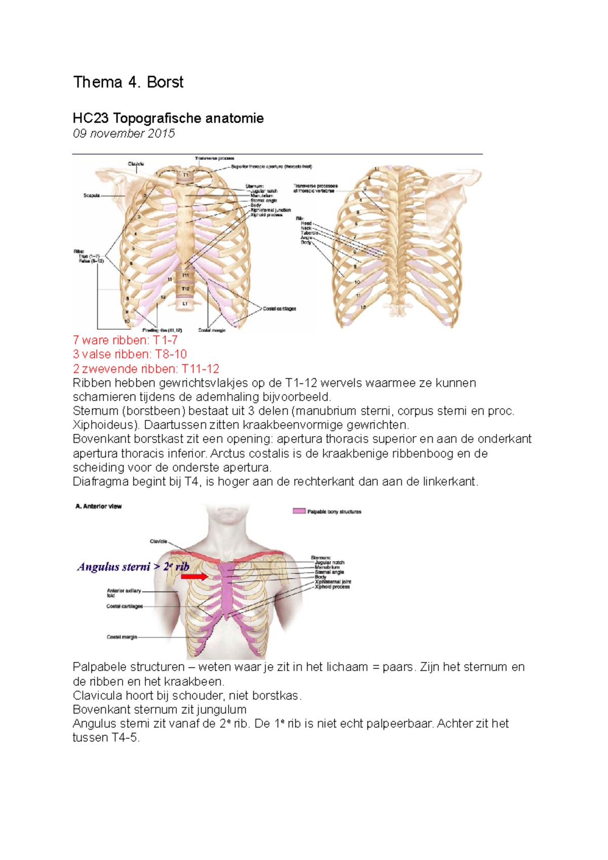 Thema 4. Borst - Thema 4. Borst HC23 Topografische anatomie 09 november ...