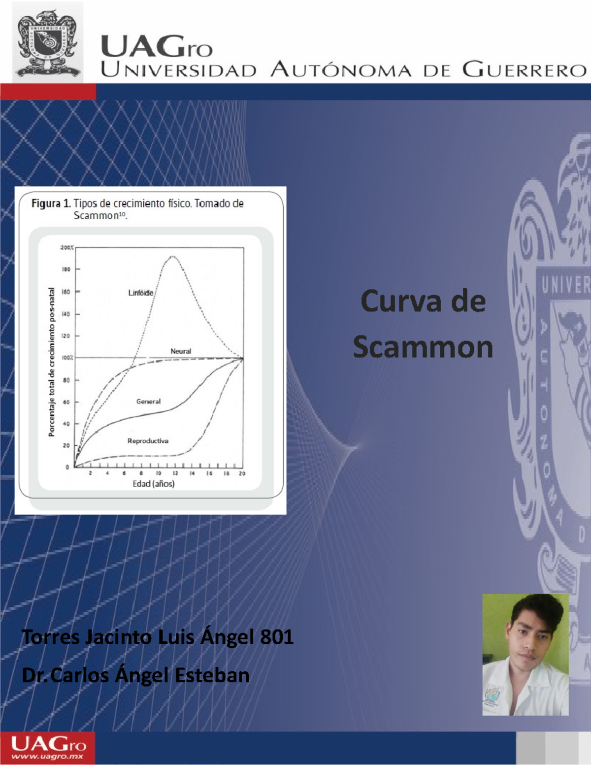 Curva de Scammon en Pediatría: Crecimiento Humano y Patrones - Studocu