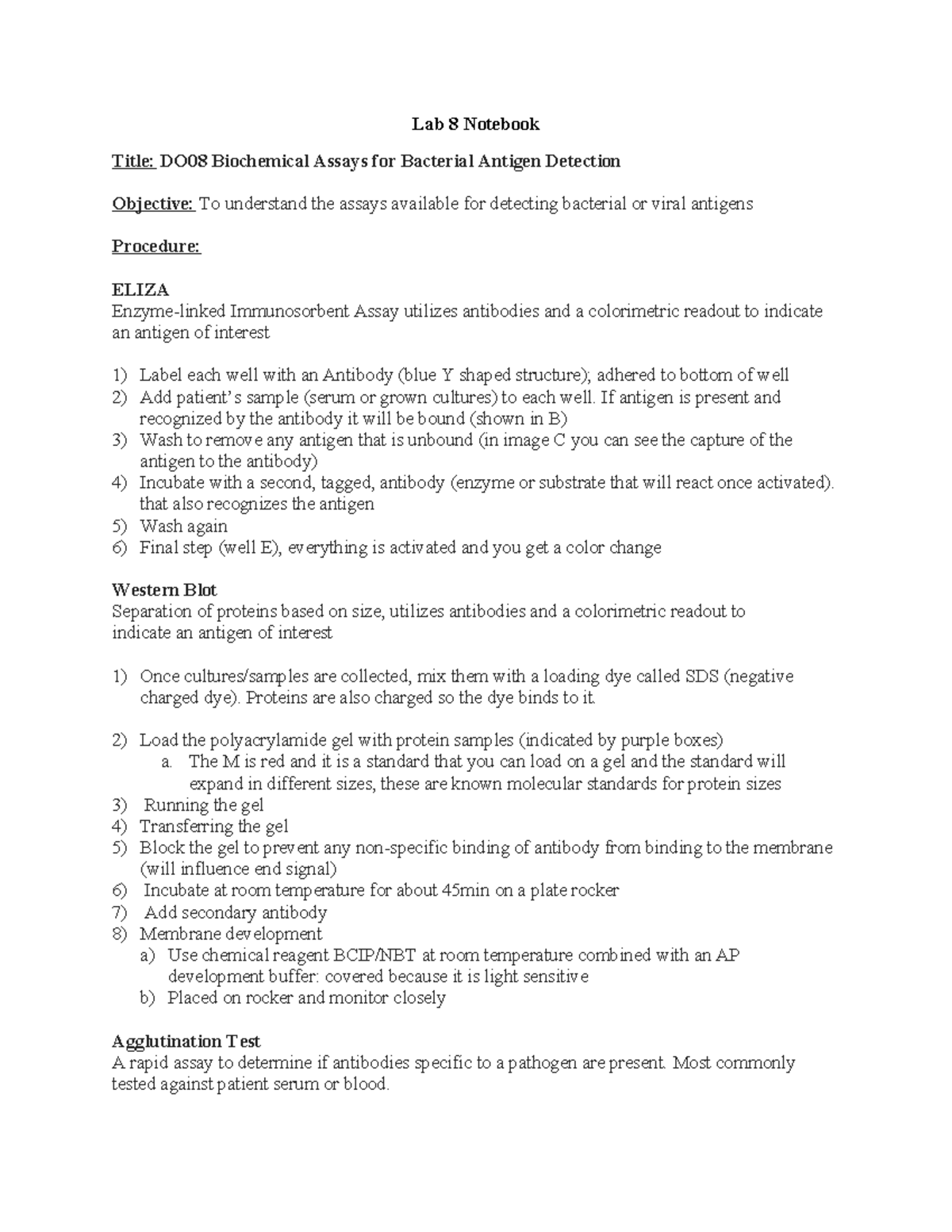 Lab 8 Notebook: DO08 Biochemical Assays for Bacterial Antigen Detection ...
