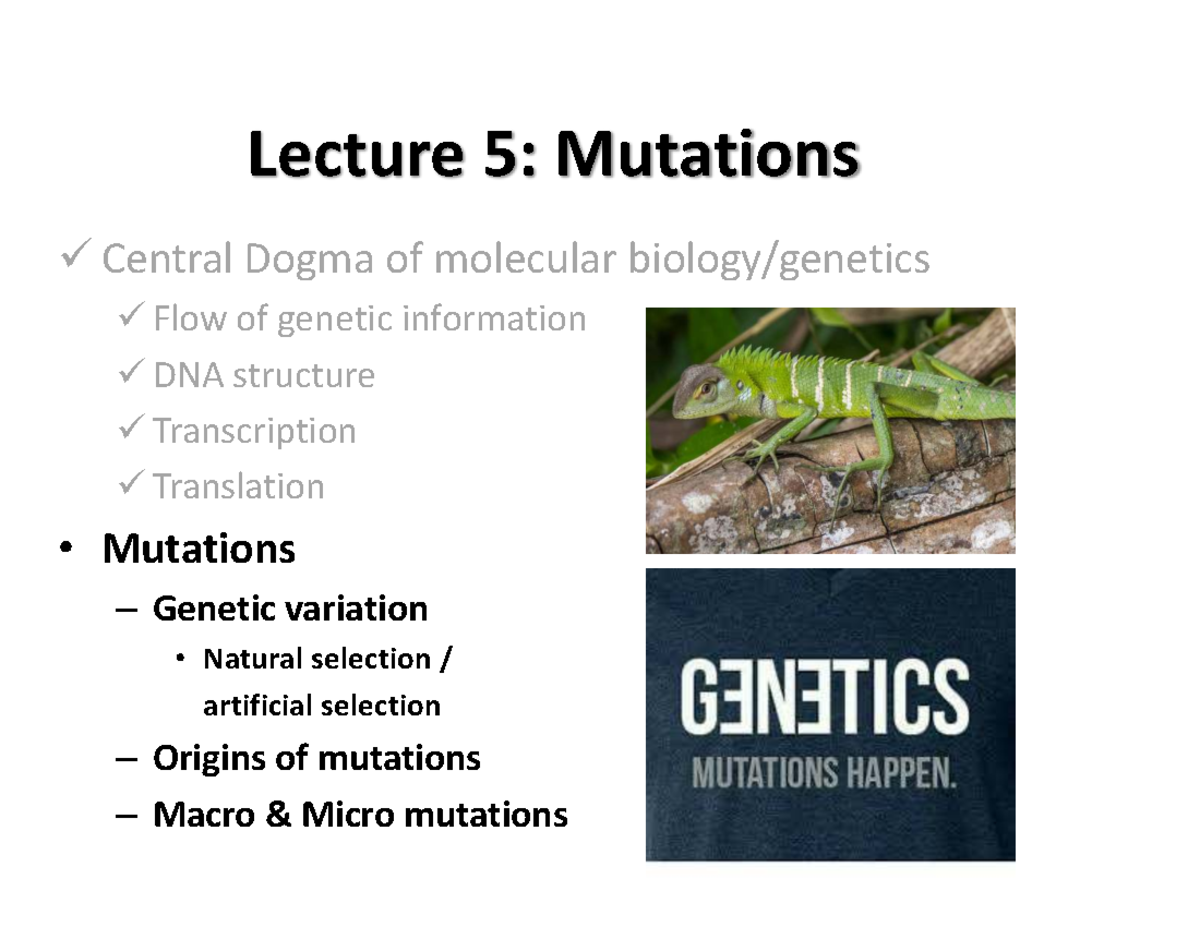 Lecture 5: Mutations and Genetic Variation - Studocu