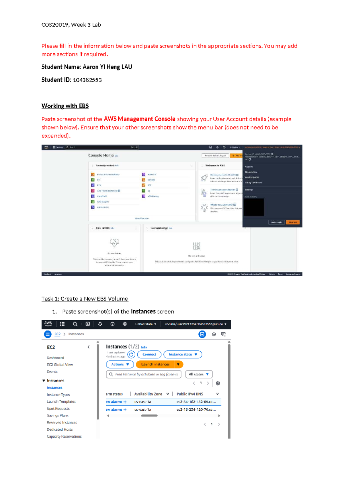 Lab Week 3 Template - AWS EBS Volume & Snapshot Tasks - Studocu