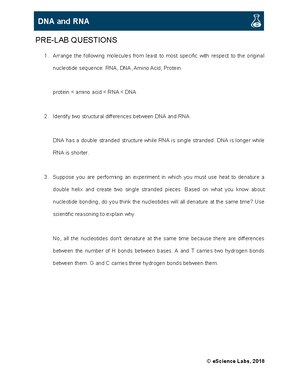 [Solved] What determines if a bacterial cell is Grampositive or ...