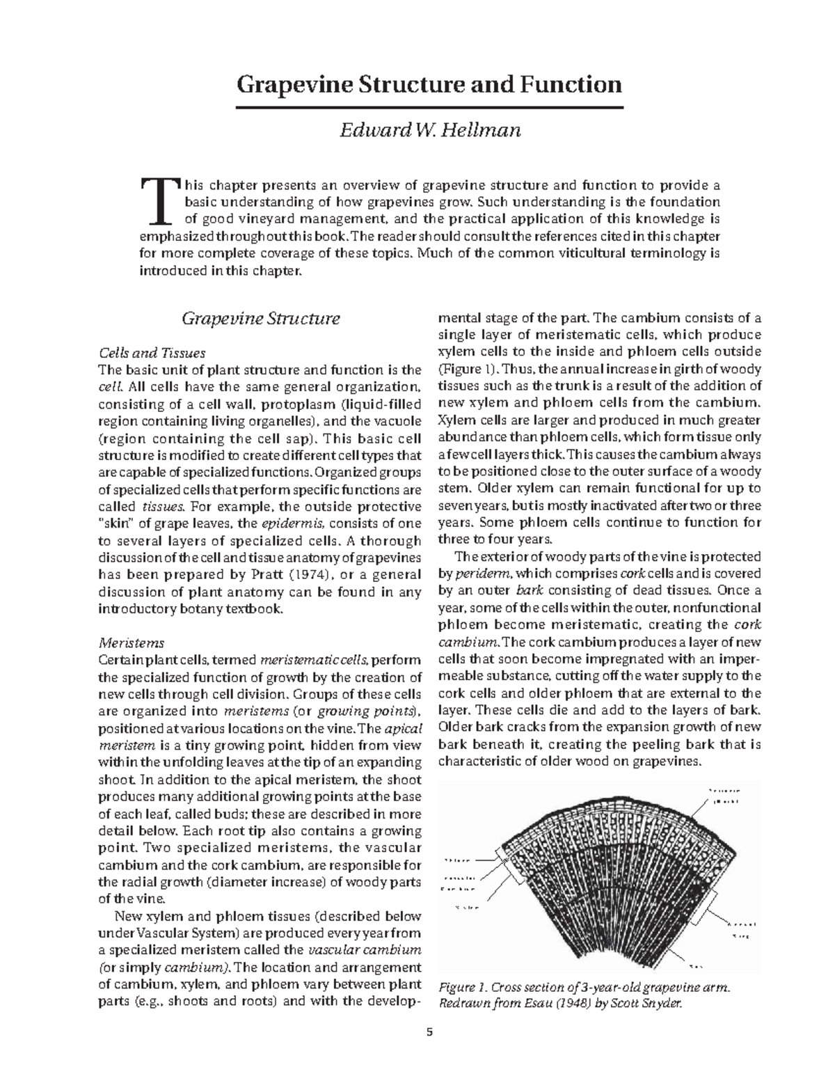 Grapevine Structure and Function: Insights for Viticulture Management ...