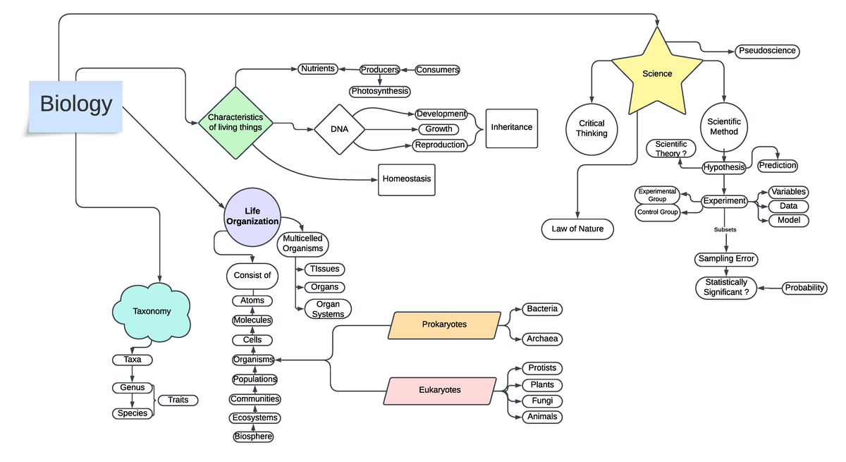 Concept Chart - mod 1 - Life Organization Consist of Atoms Molecules ...