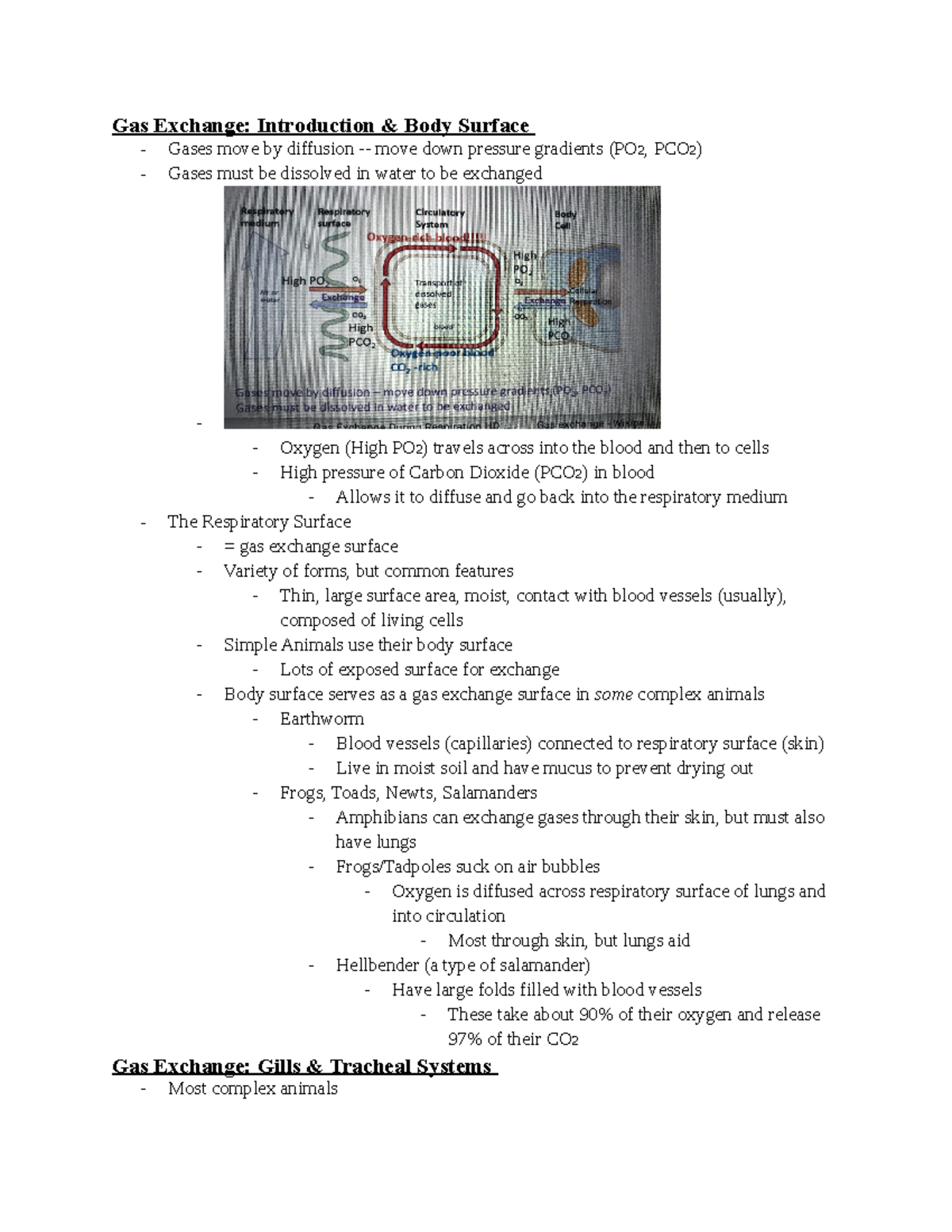 Module 12 Notes: Gas Exchange & Circulation Overview - Studocu