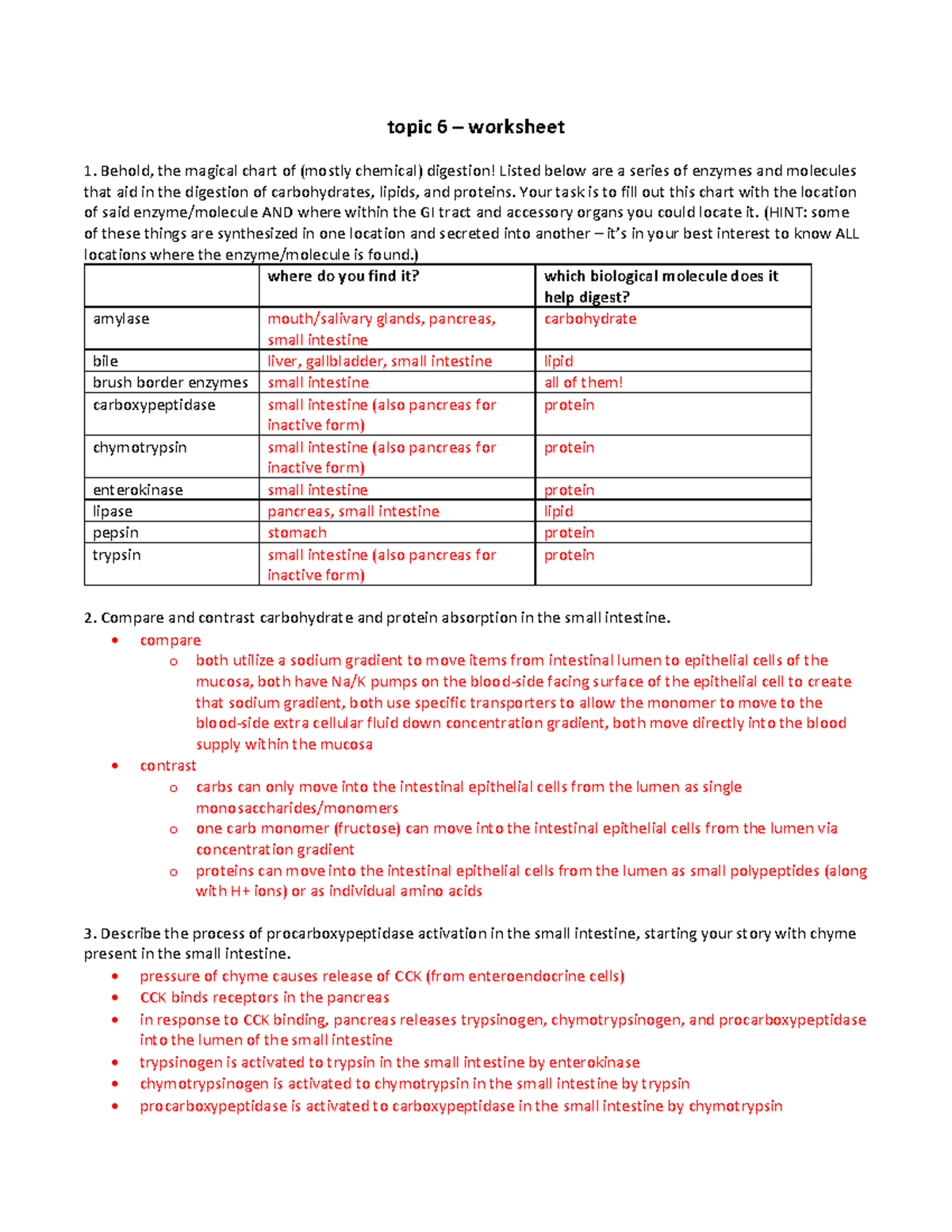Digestive System Worksheet Key - Topic 6: Mechanics & Processes - Studocu