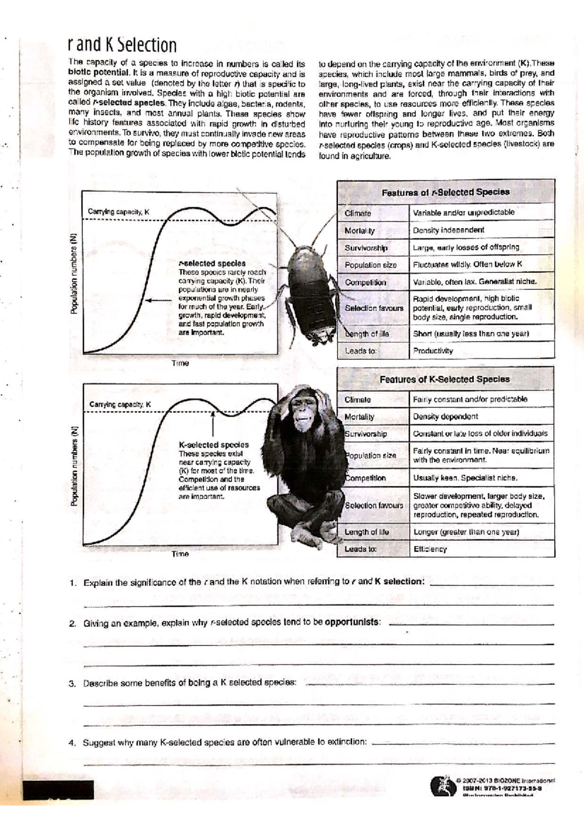 R and K Selection: Understanding Species Growth Patterns in Ecology ...