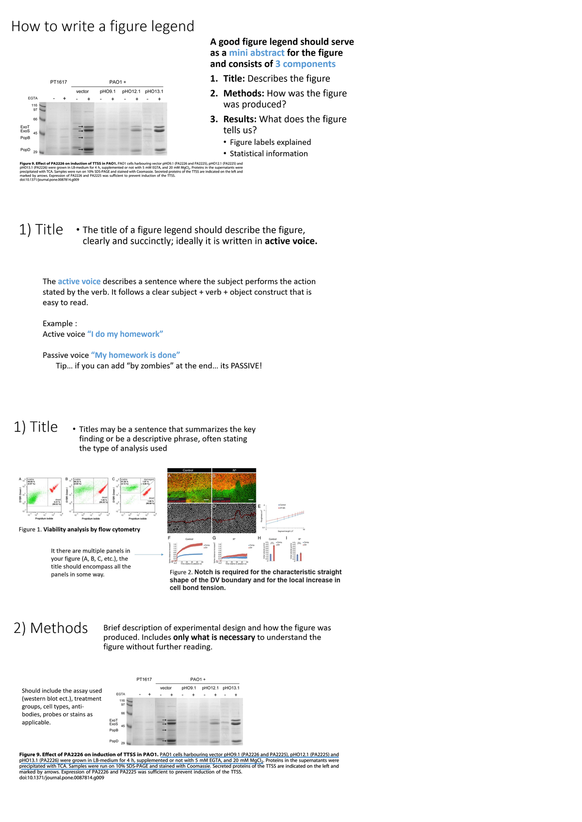 How to Write a Proper Figure Legend Caption - MBG 3350 Lab Methods ...