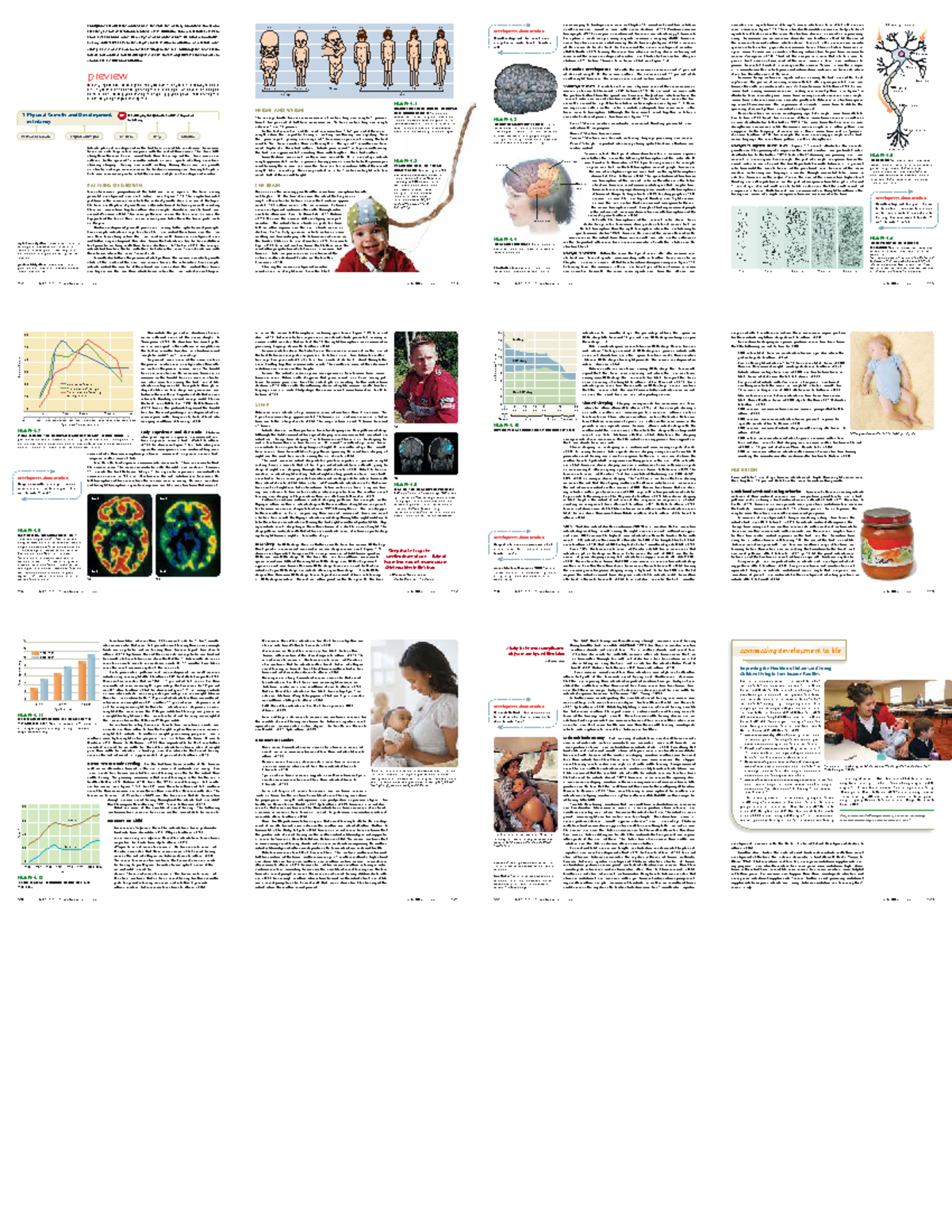 Physical Development in Infancy: Insights from Chapter 4 (PSY 101 ...