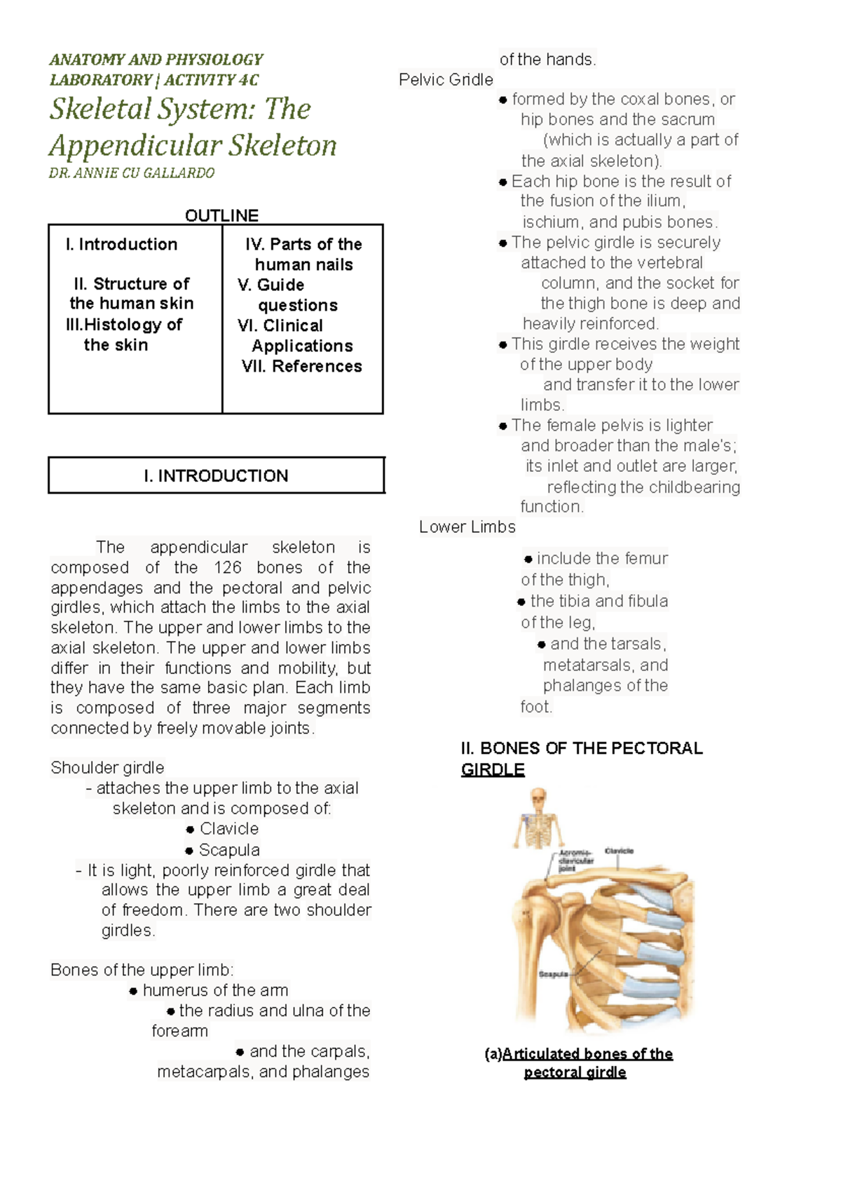 Activity 4C: Appendicular Skeleton Overview for Anatomy & Physiology ...