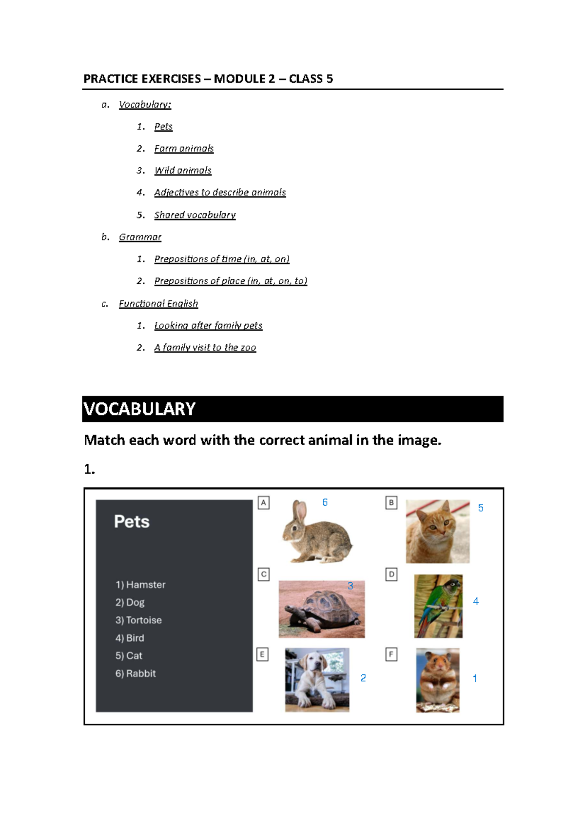 Practice Exercises Module 2 Class 5: Vocabulary & Grammar Activities ...