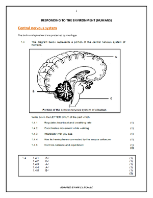 Grade 12 Life Sciences Homeostasis notes - Studocu
