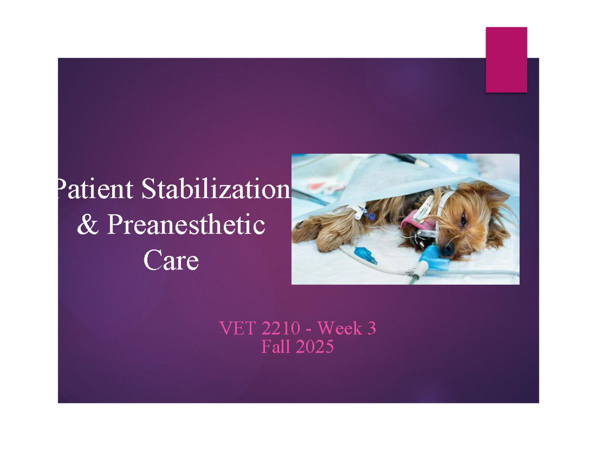 Patient Stabilization & Preanesthetic Care - VET 2210 Week 3 Notes ...