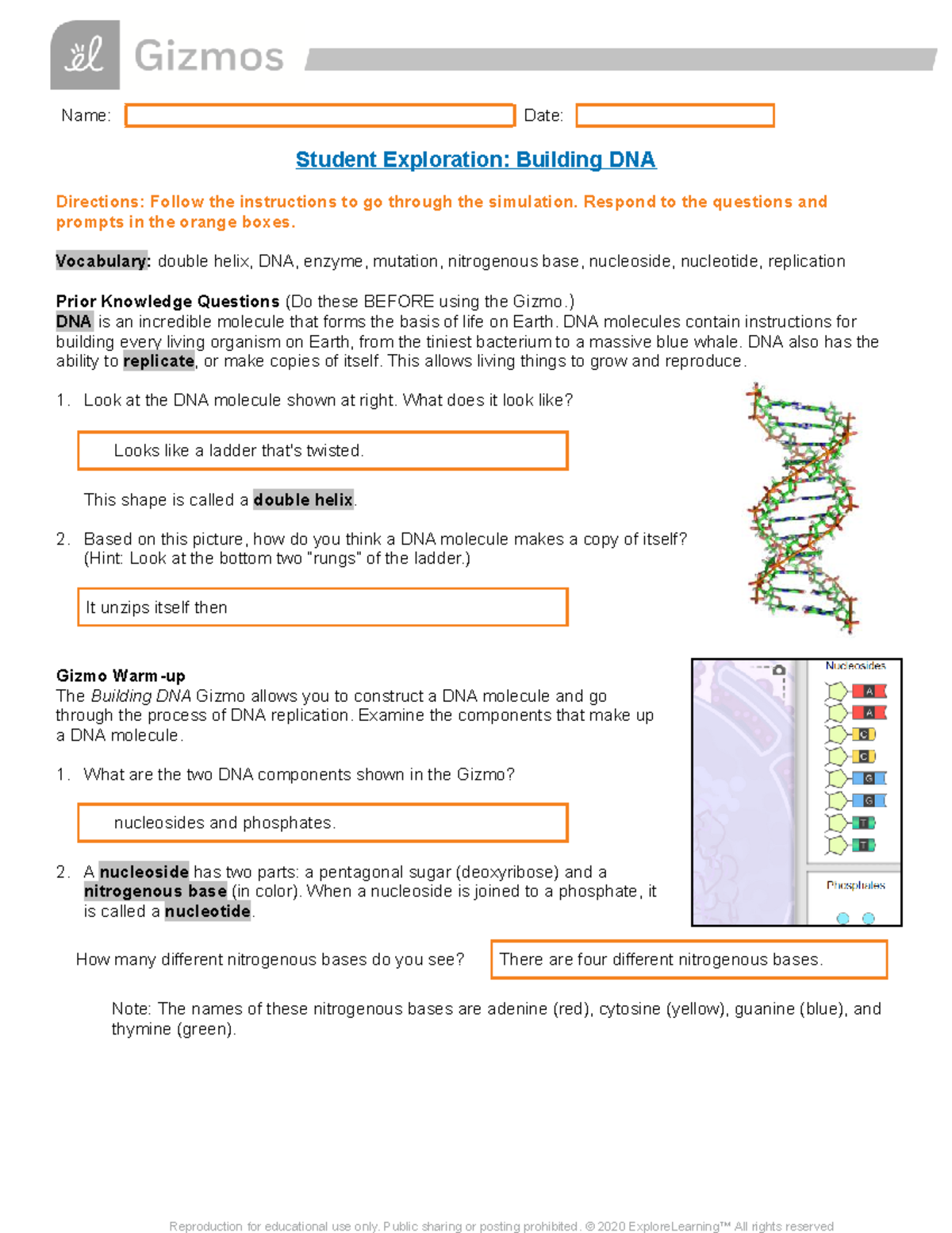 Building DNA Simulation Exploration - SE Guide - Studocu