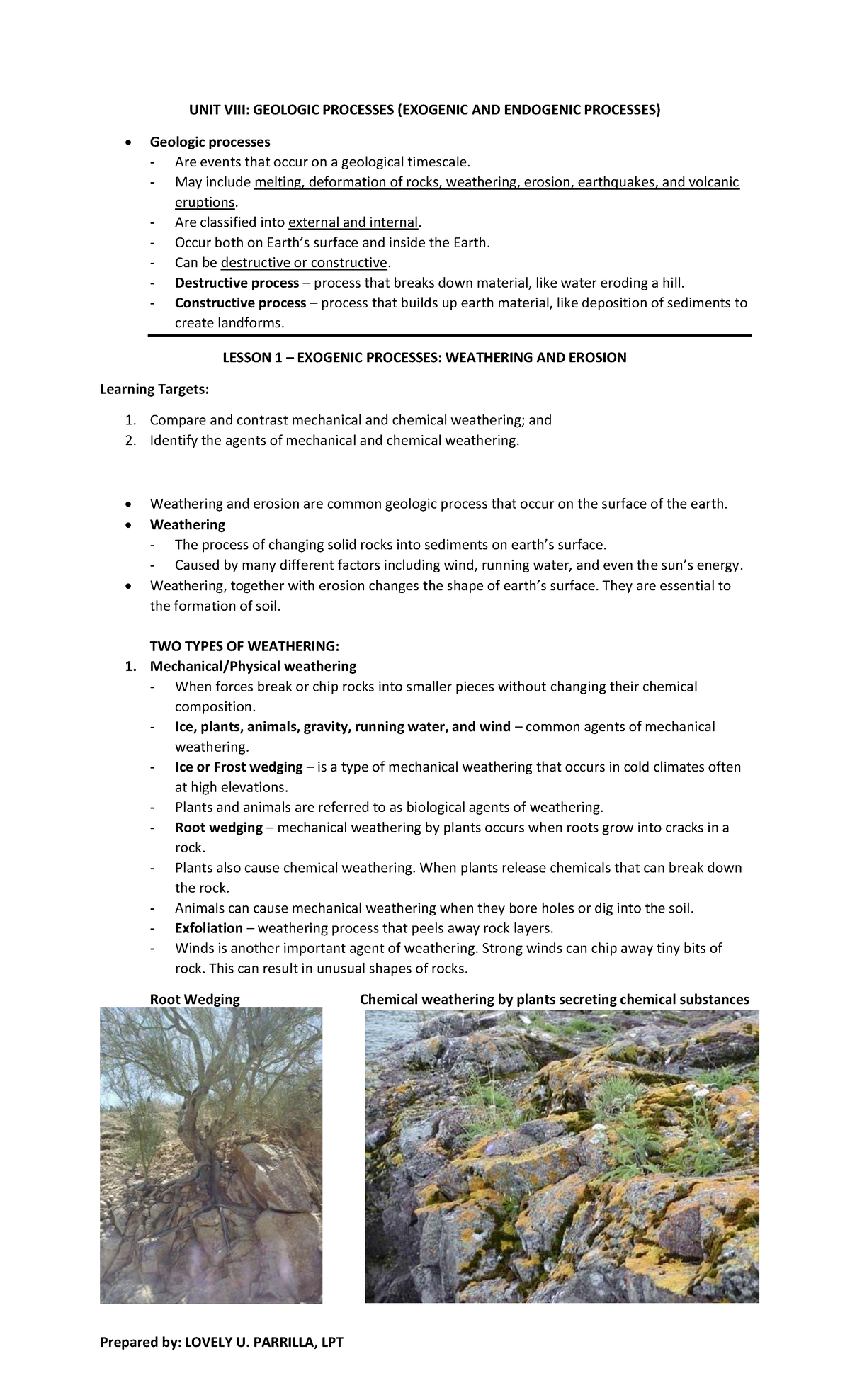 UNIT VIII Geologic Processes Exogenic and Endogenic Processes - UNIT ...