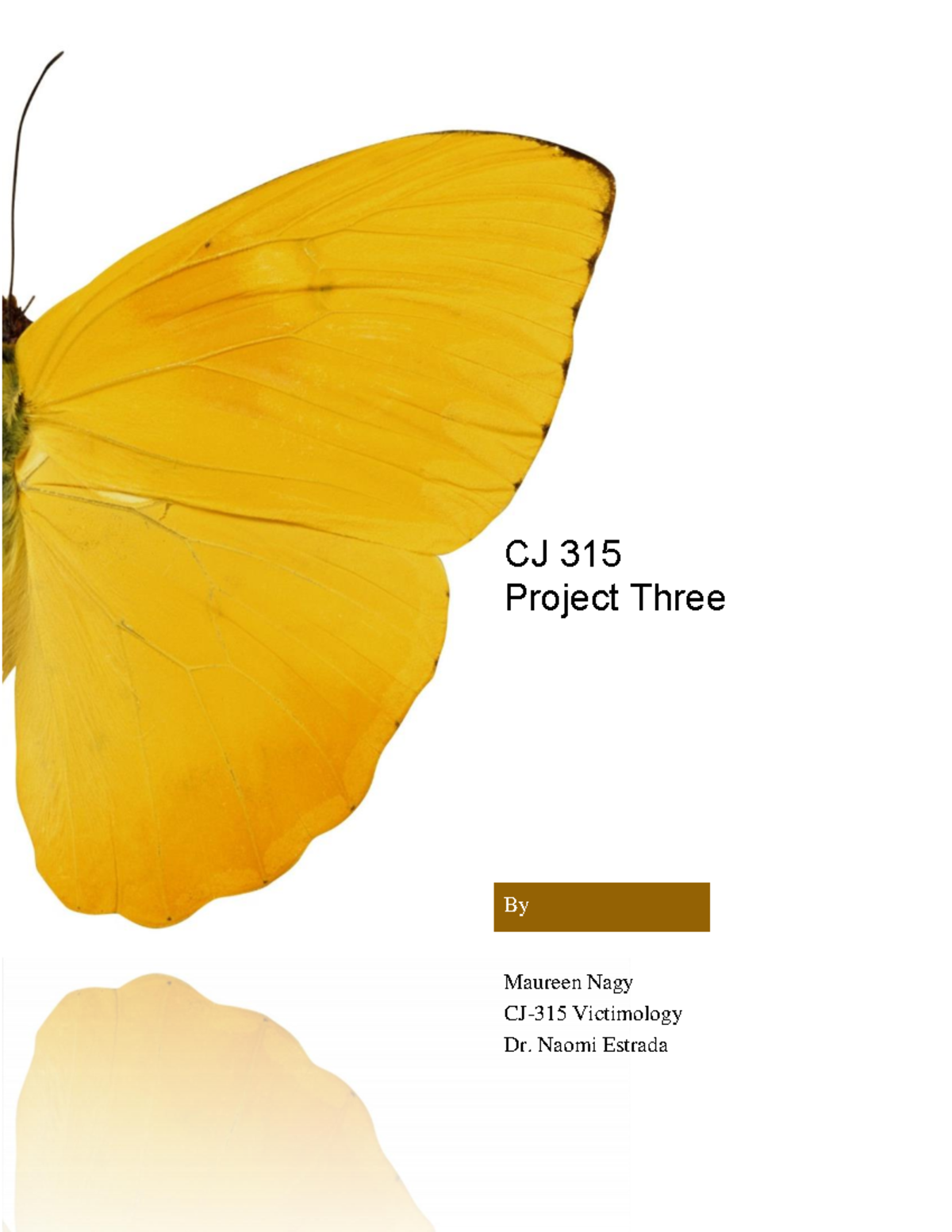 CJ 315 Project Three - CJ 315 Project Three By Maureen Nagy CJ-315 ...
