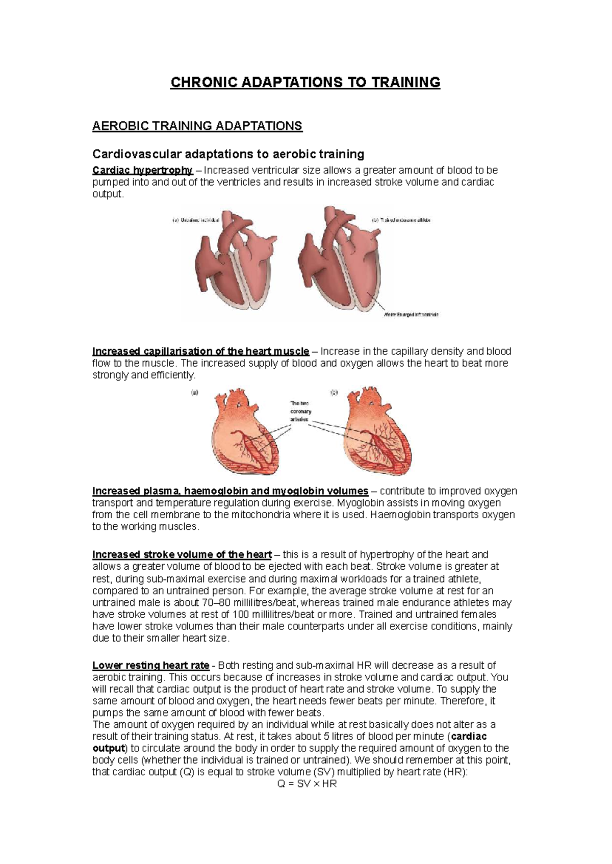 Chronic Adaptations to Aerobic Training: Cardiovascular & Respiratory ...