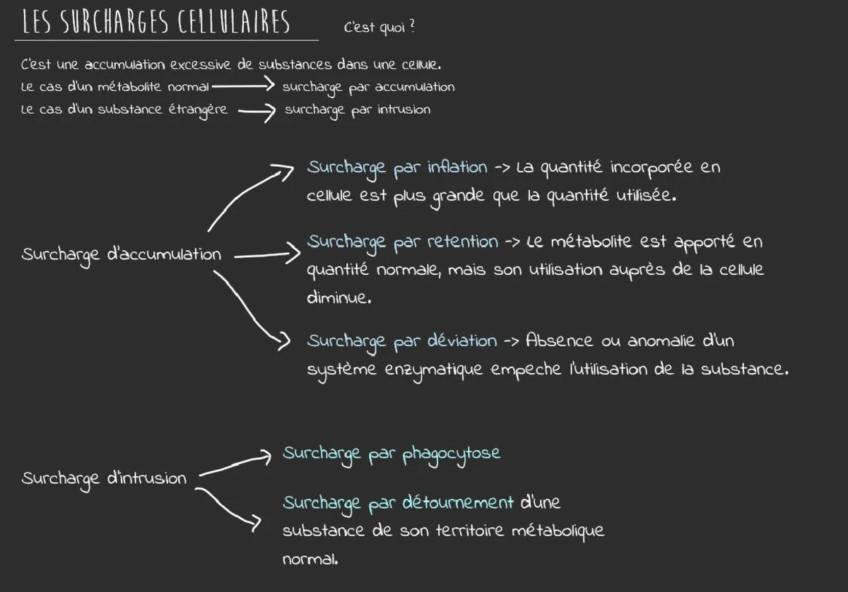 4- Tuberculose péritonéale - Reconnaître les aspects anatomo ...
