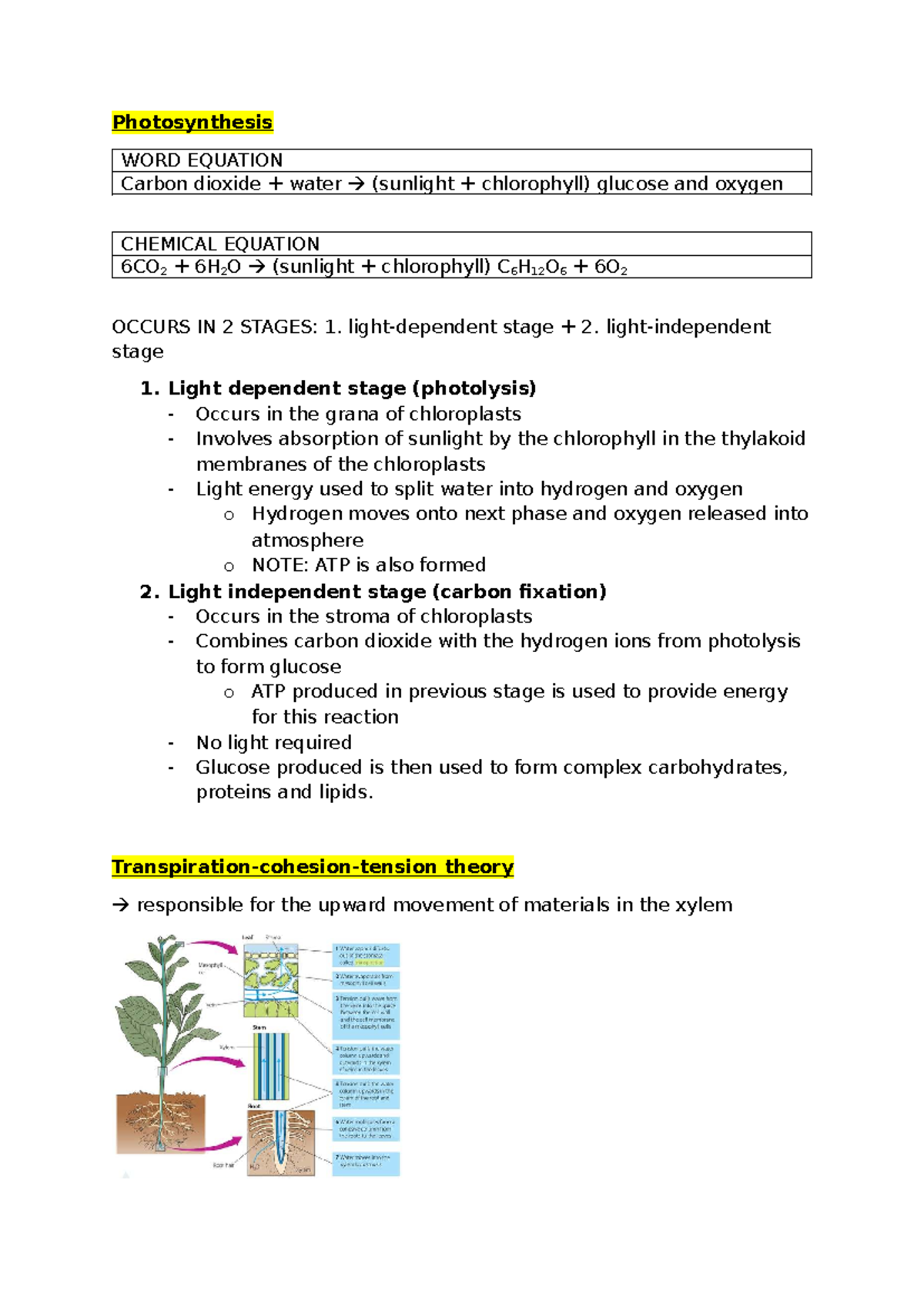 Mod 23 Biology Notes - Term 1: Photosynthesis & Circulatory System ...